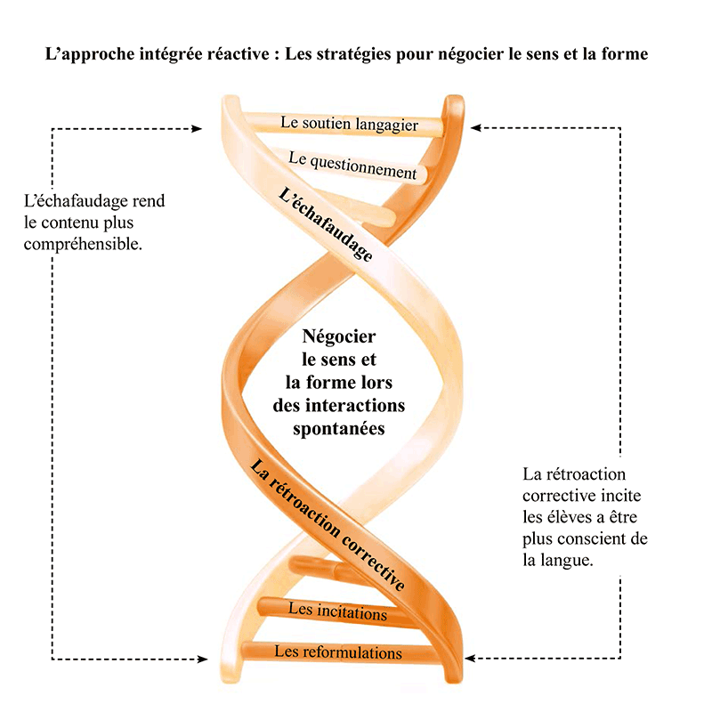 La langue au cœur du programme d’immersion française : une approche ...